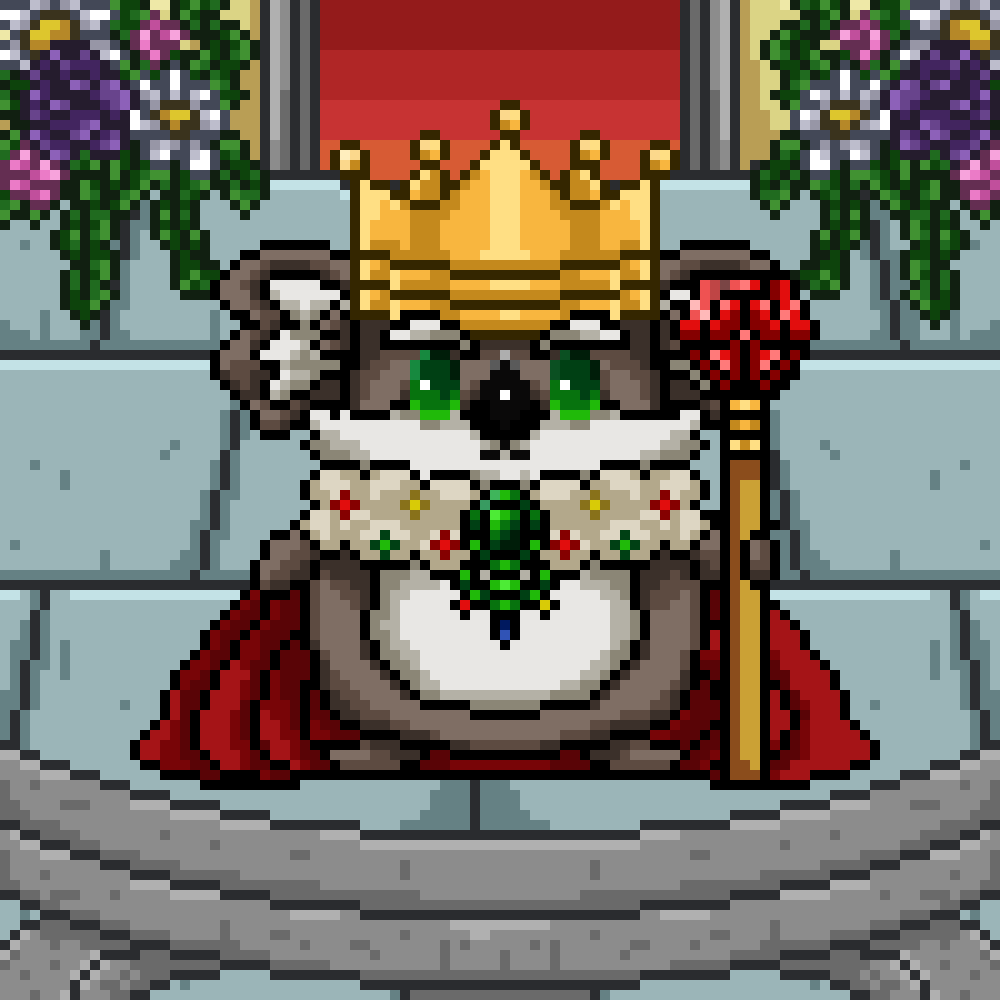 Gallery Koala Heroes Gallery Koala Heroes